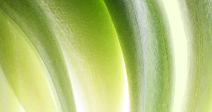 Horizon skin rejuvenation skincare Collection | Alpeor